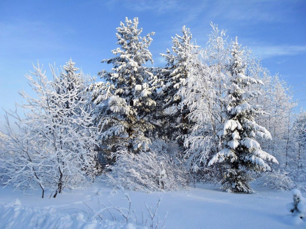 Шикарная Зимняя Музыка для Души! Душевная и Красивая Мелодия . Зимний День - Сергей Чекалин