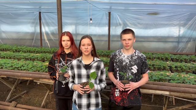 «Тепличный комплекс Усадьба»