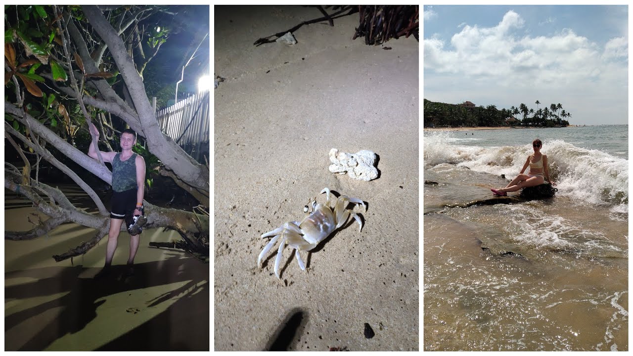 Ночная жизнь на пляже. Шри-Ланка. 2022