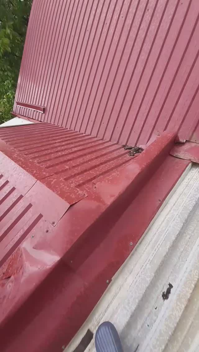 Карлсон, который серет на крыше.