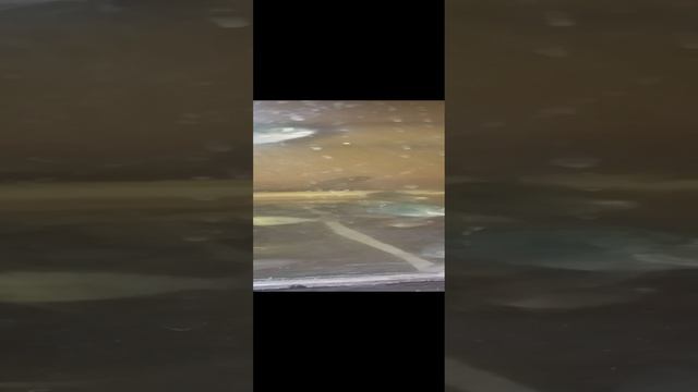 Тиляпии растут бодрячком.