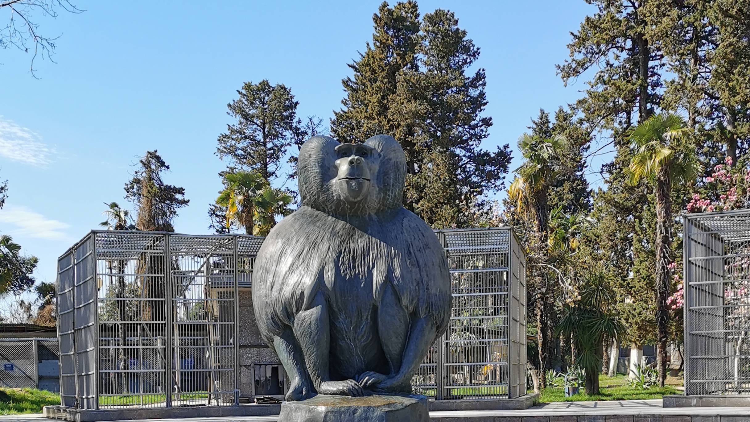 Обезьяний питомник Сухум