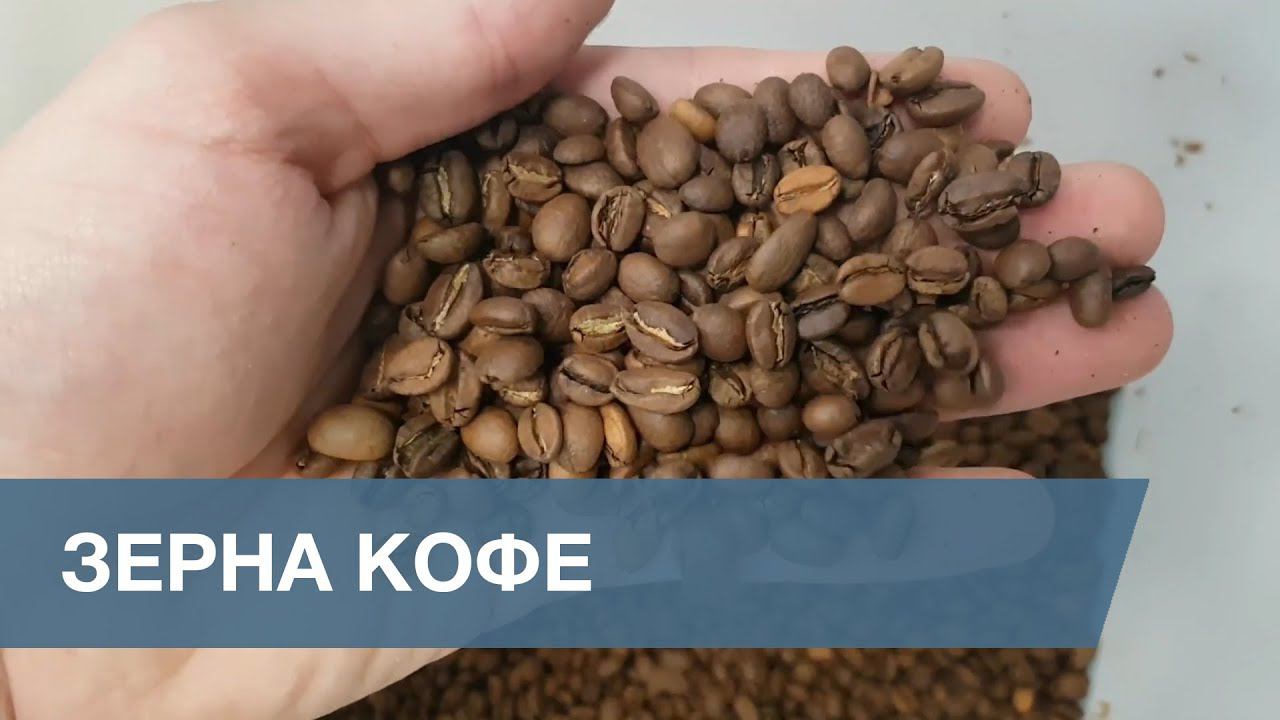 Сортировка Зерен Кофе / Coffee Beans Sorting