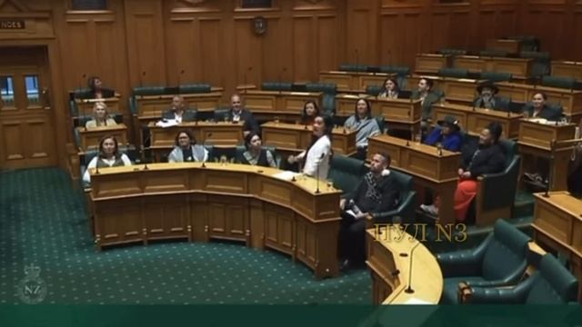 Хана-Равити Майпи-Кларк (21 год) произносит свою первую речь в парламенте Новой Зеландии