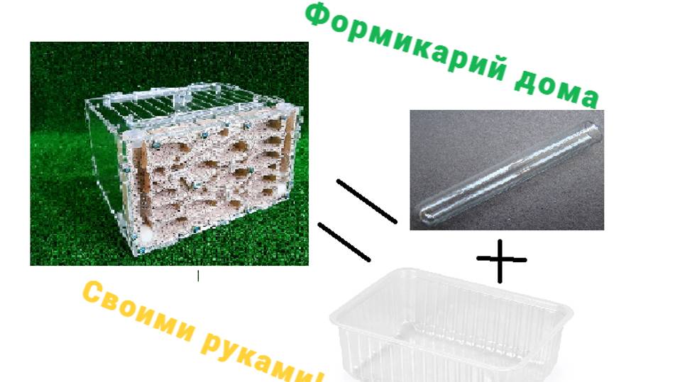 Пробирочный формикарий дома СВОИМИ РУКАМИ!!!