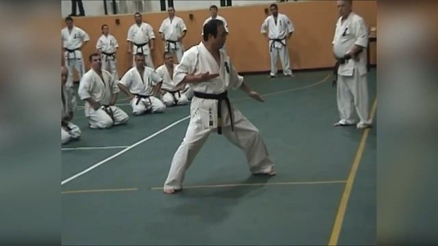Ката Гекусай Шо