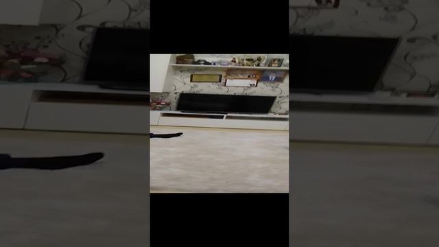 ещё более смешное видео на свете