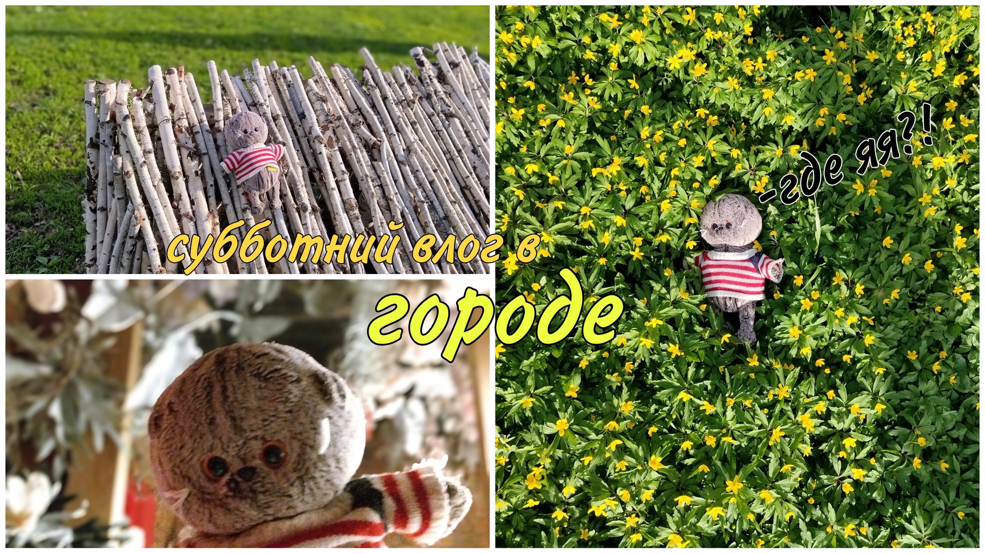 Влог с Мишей в городе! 💗