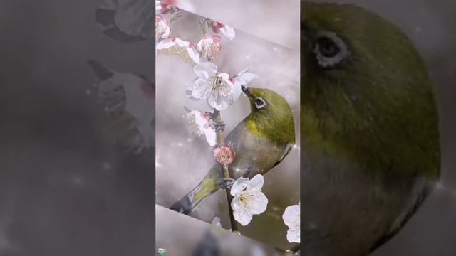 Хорошего весеннего настроения