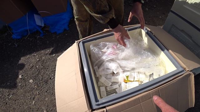 Получил посылку из трех огромных коробок общим весом 36 кг