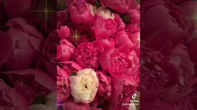 С днём рождения, Светочка!