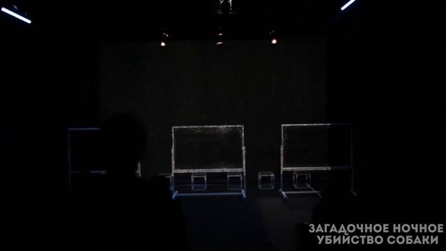 "Загадочное ночное убийство собаки"