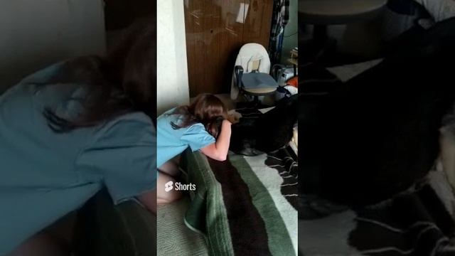 Радость встречи