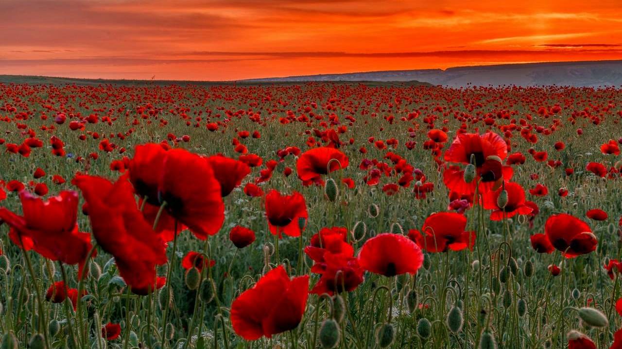 СБОРНИК МУЗЫКИ ДЛЯ ТАНЦЕВ - ТАНЦЕВАЛЬНАЯ МУЗЫКА - МУЗЫКА ДЛЯ НАСТРОЕНИЯ