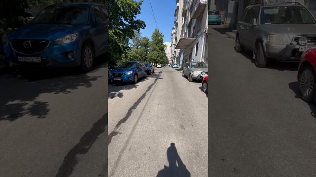 Мусорные баки Московский 205