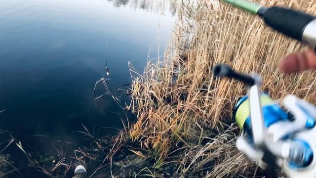 РЫБАЛКА НА ЩУКУ(НОЯБРЬ)