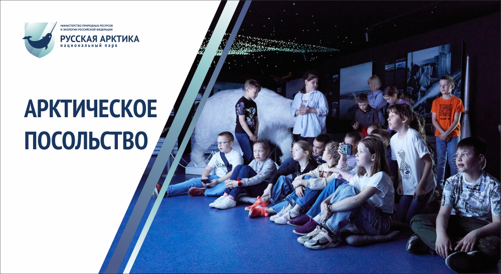 В Архангельске открылась выставка "Природа Арктики: твой взгляд на красоту"