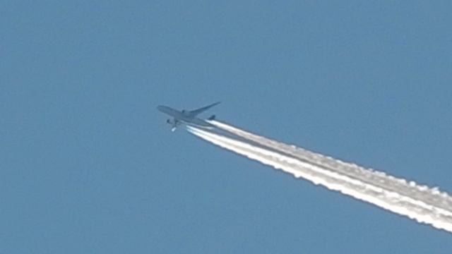 Транзит. 19 03 23. DSCN6435