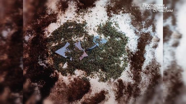 ПОСПЕШИМ-СОХРАНИМ-ОТЧИСТИМ