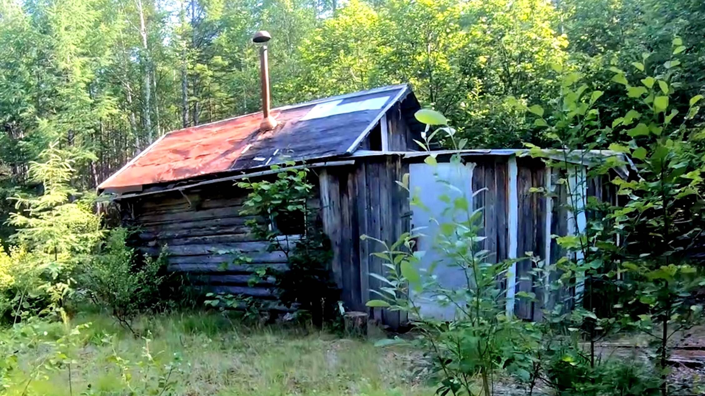 Через лесную чащу к развалинам геологического посёлка. Хариус. Таёжная изба