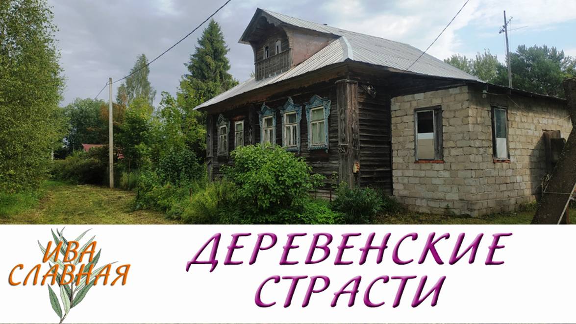 Ива Славная: Деревенские страсти. Самое начало новой плантации (27.07.2023)