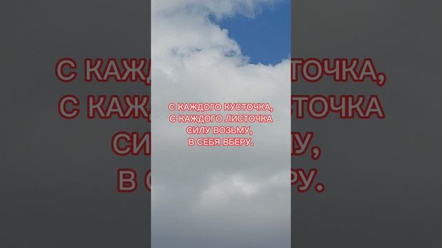 ДЕНЬ ЛЕТНЕГО СОЛНЦЕСТОЯНИЯ?РИТУАЛ НА СБОР СИЛЫ В ЛЕСУ#13