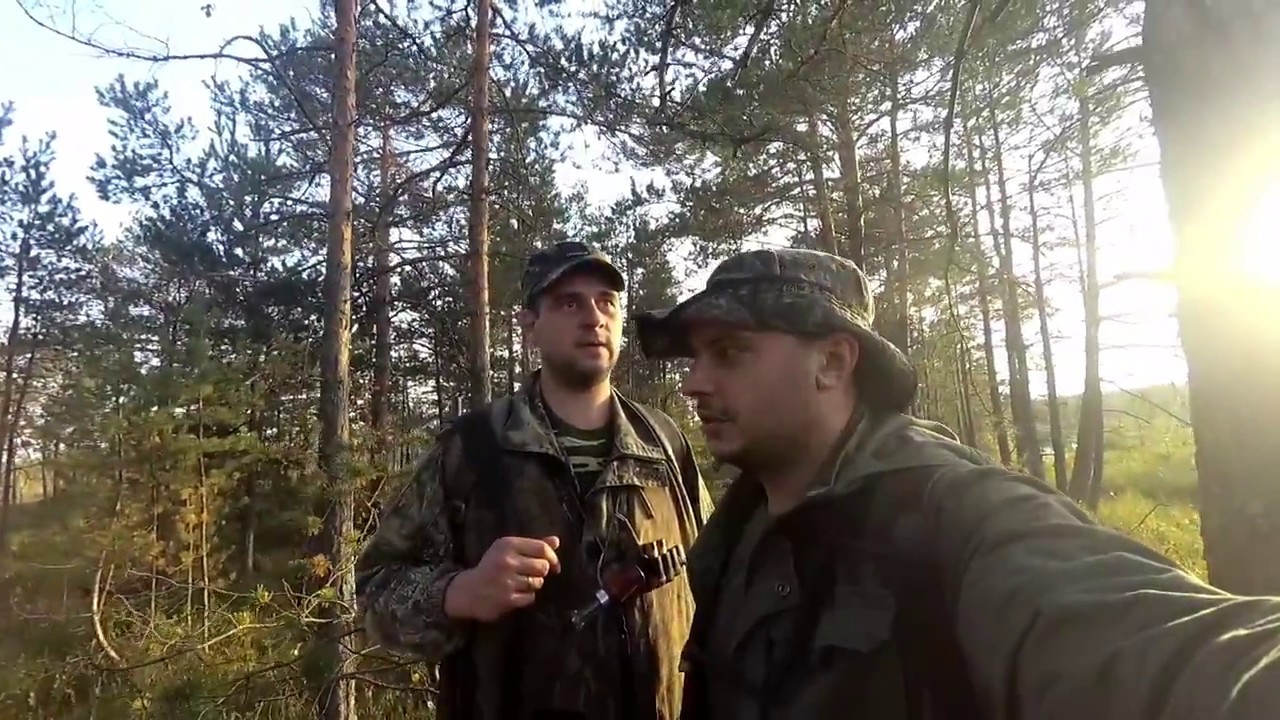 Охота на утку с подхода по красивым болотам Подмосковья.