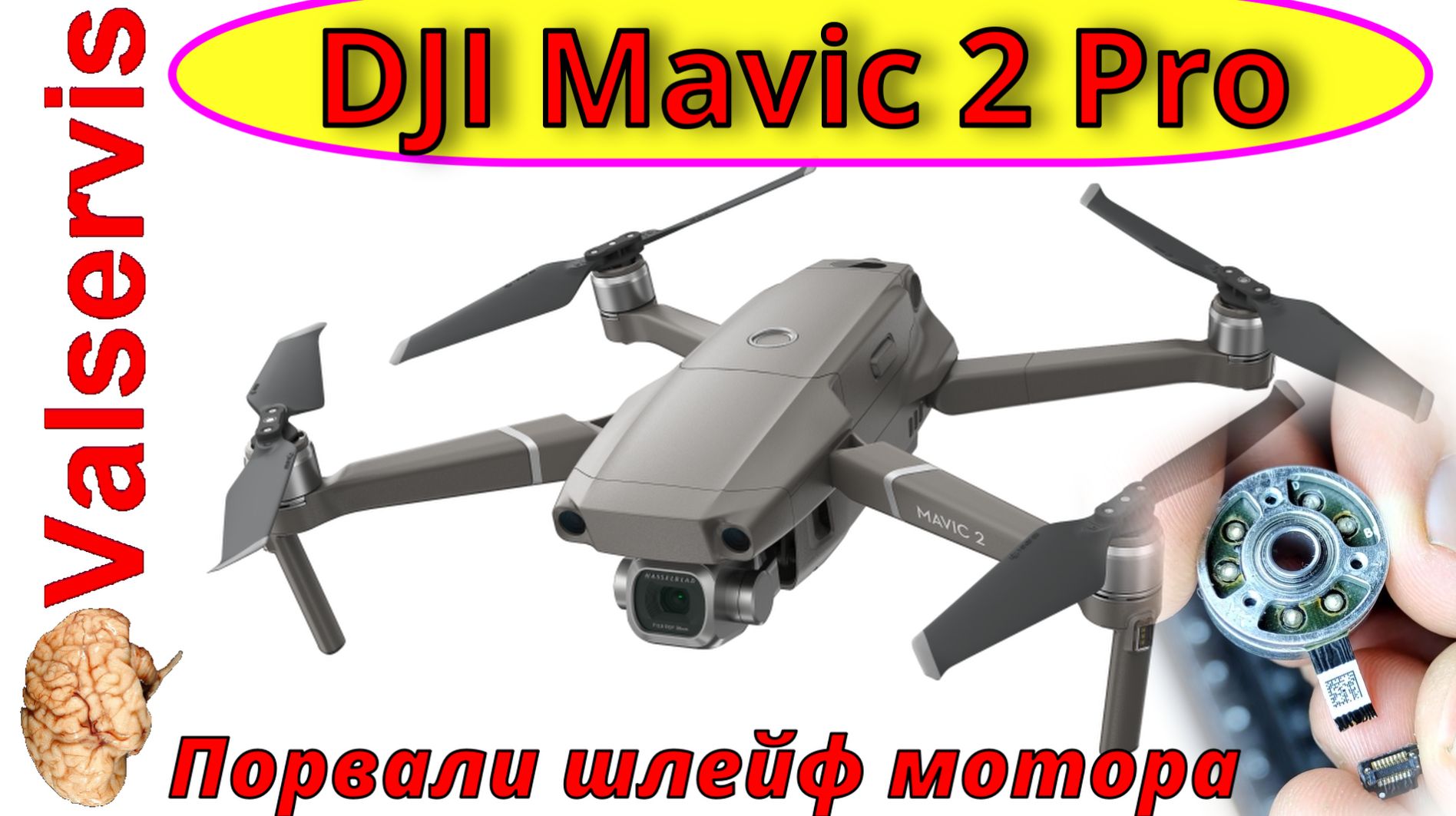 DJI Mavic 2 Pro порвали шлейф мотора.