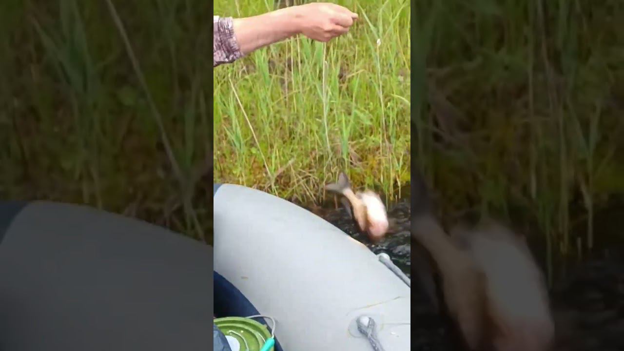 Вся рыбалка за 40 секунд!