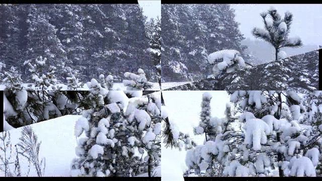 зимой в Варварино-а