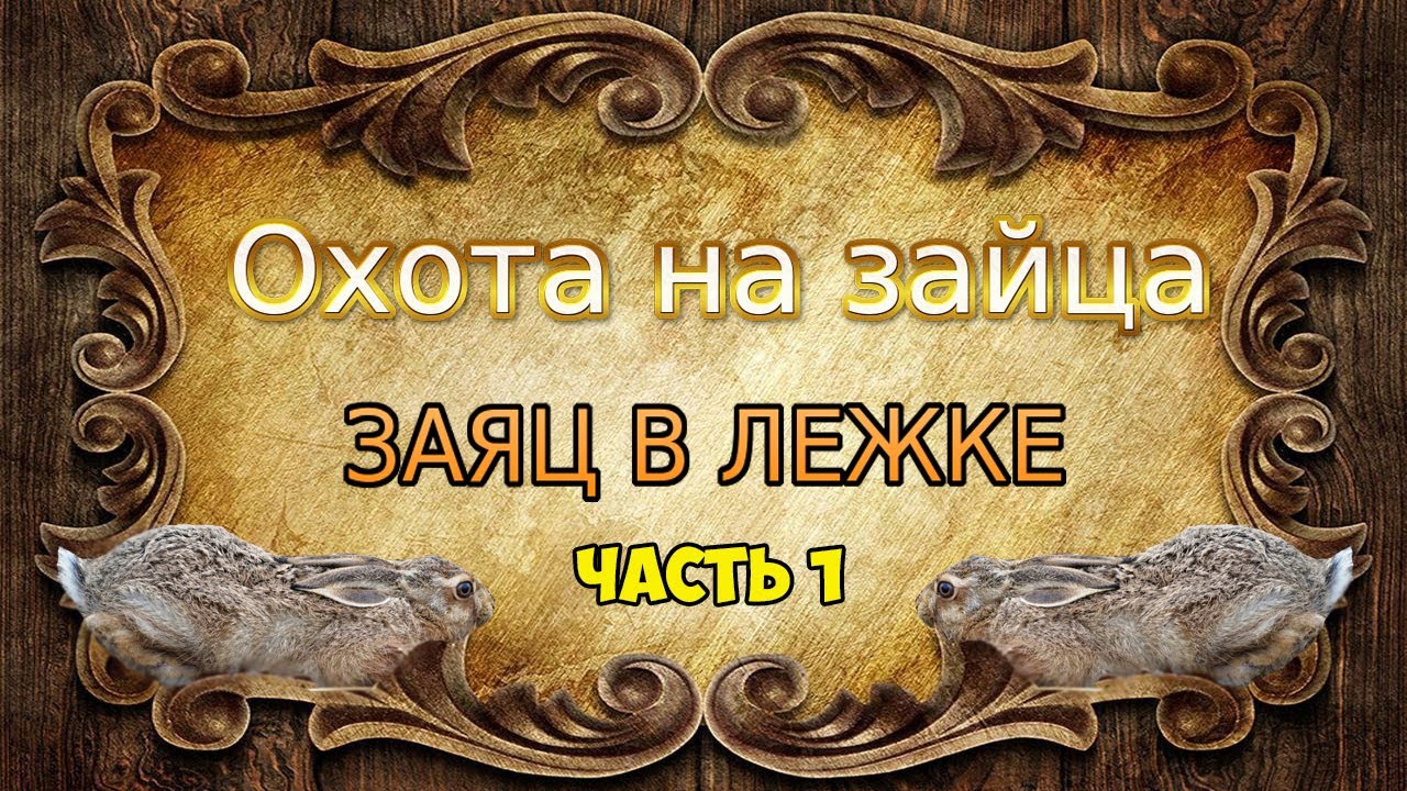 Охота на зайца-русака. Зайцы лежат пока не дашь команду бежать.