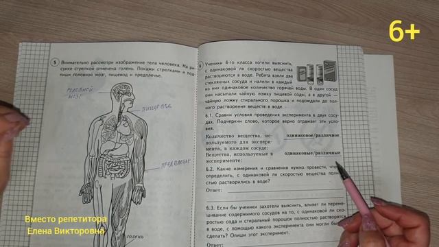 ВПР по окружающему миру в 4 классе