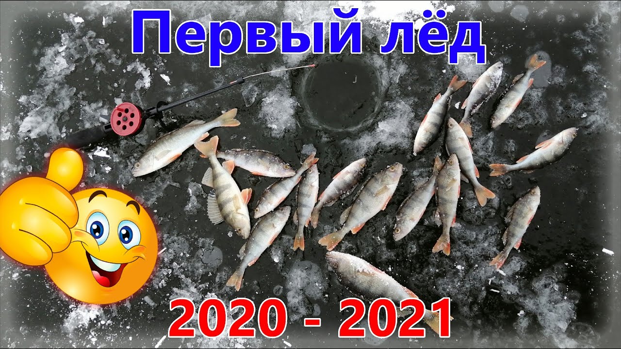Первый лёд. Открытие сезона 2020-2021