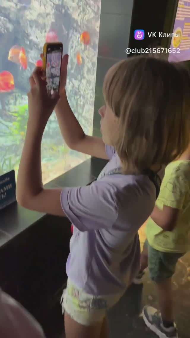 Океанариум. Сочи #океанариум #акула #дети #поделки #развивашки