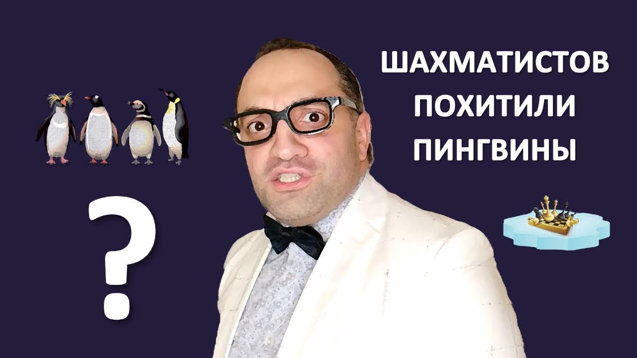 ЗАПРЕТИЛИ ШАХМАТЫ В АНТАРКТИДЕ! Профессор Эндшпиль.