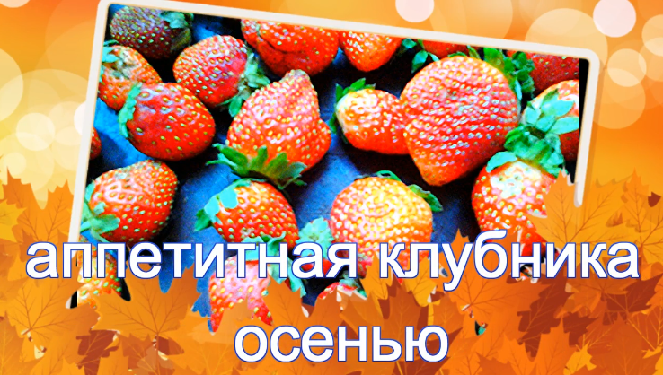 Осеняя клубничка в самом соку . 24 окт. 2016 г.