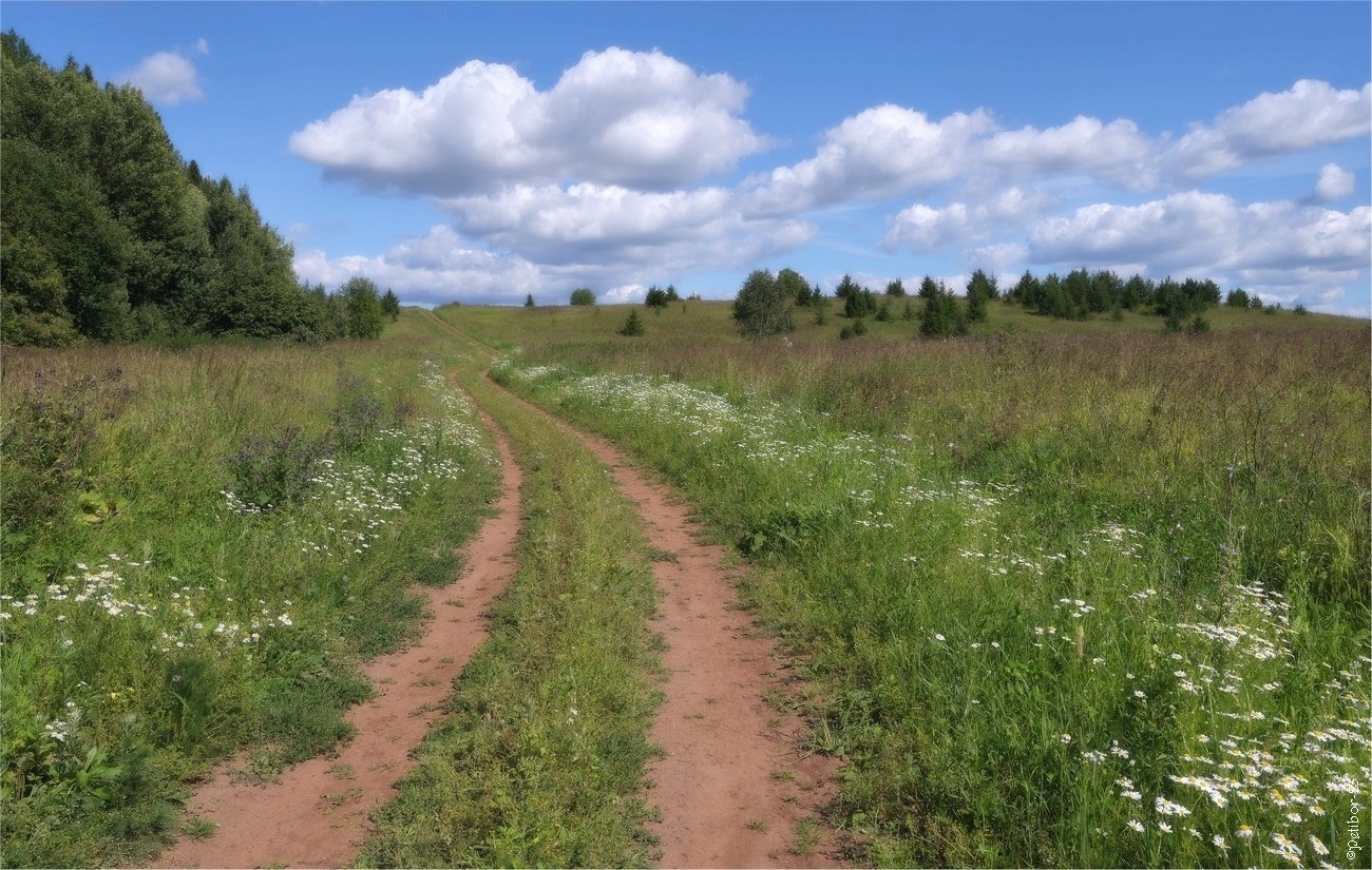 "НЕ ОДНА ВО ПОЛЕ ДОРОЖЕНЬКА"... (Фото Игоря Петрова (Вятка) - Иван Тургенев - Алексей Покровский)