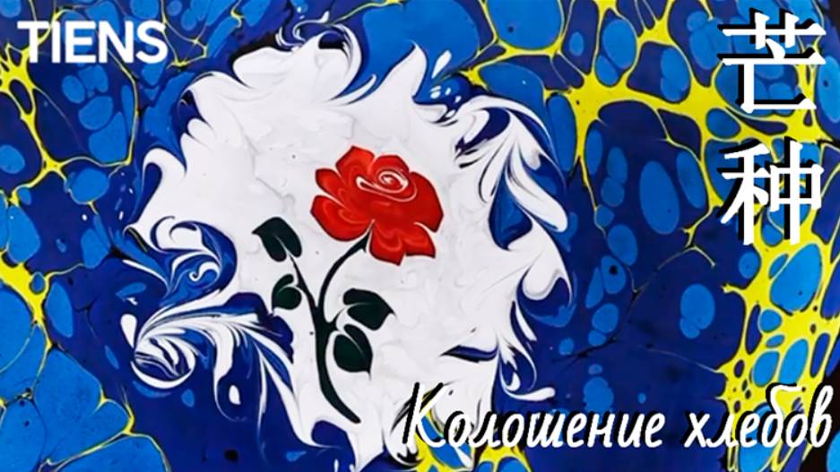Сезон _Колошение хлебов_ (芒种, Манчжун) 6-21 июня