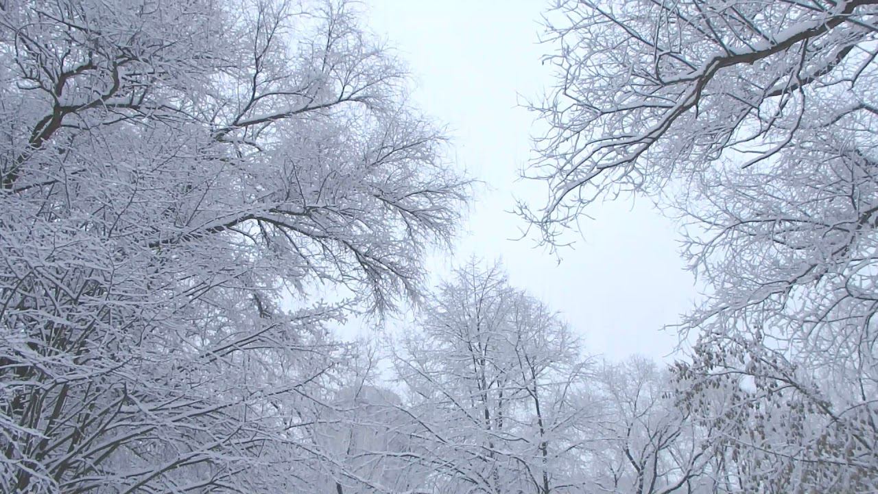 Русская зима - снегопады 2021 года в Москве | Зимний лес и прекрасная музыка