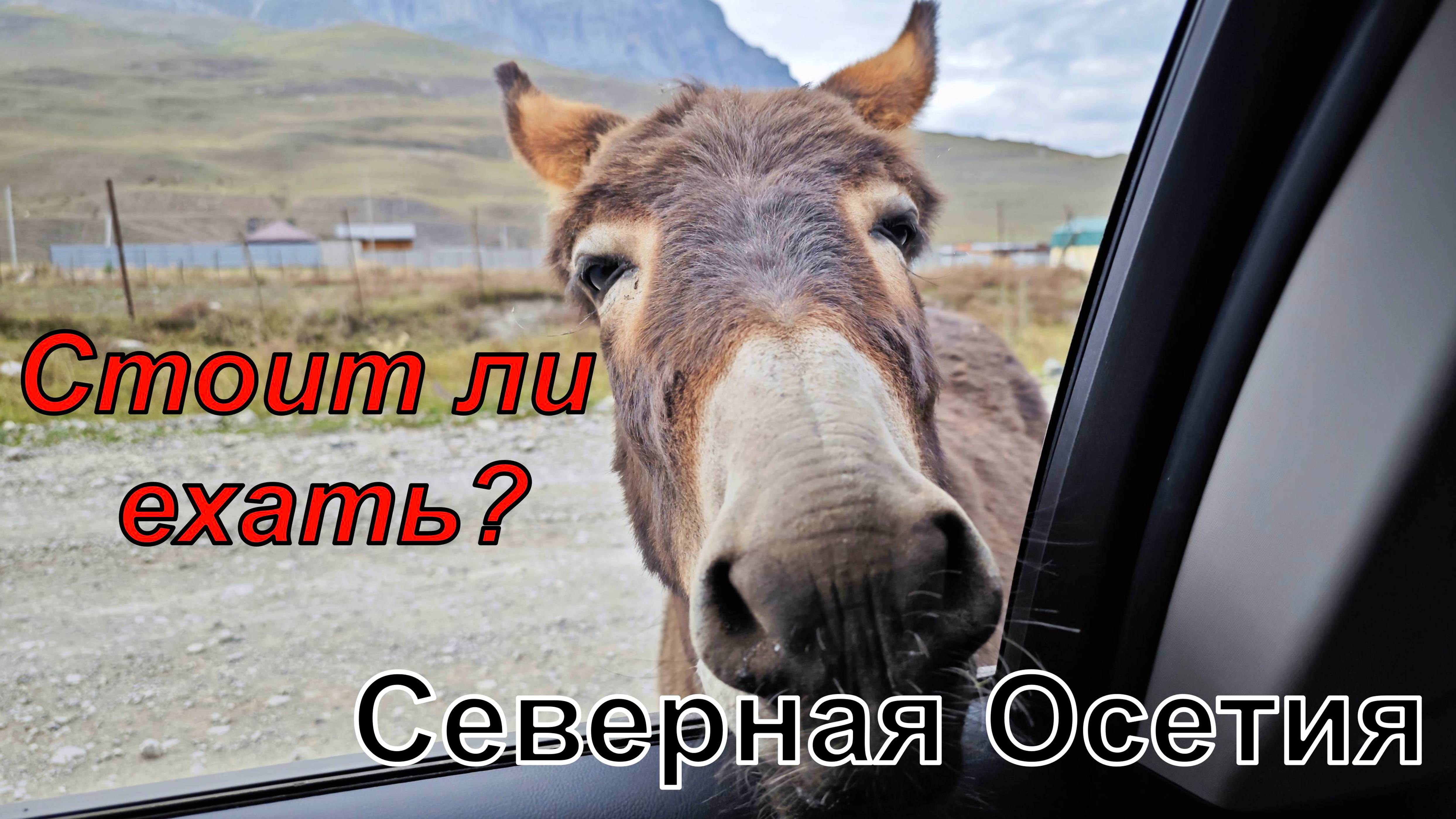 В Северную Осетию на машине. Стоит ли ехать? Термальное озеро Тамбукан.