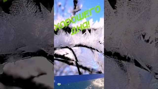 Зимнее волшебство