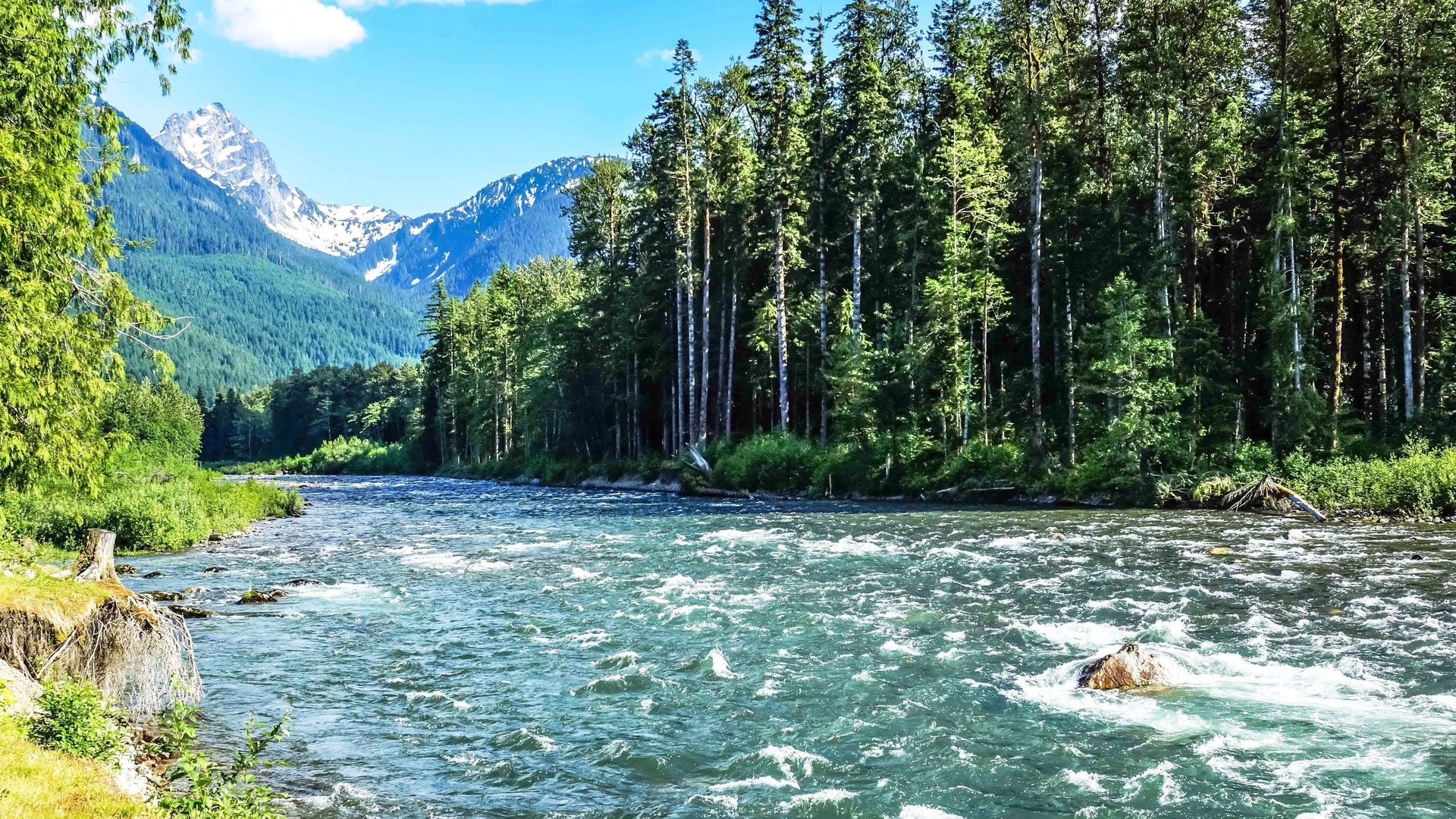 В.А.Моцарт. Концерт для флейты и арфы с оркестром.2