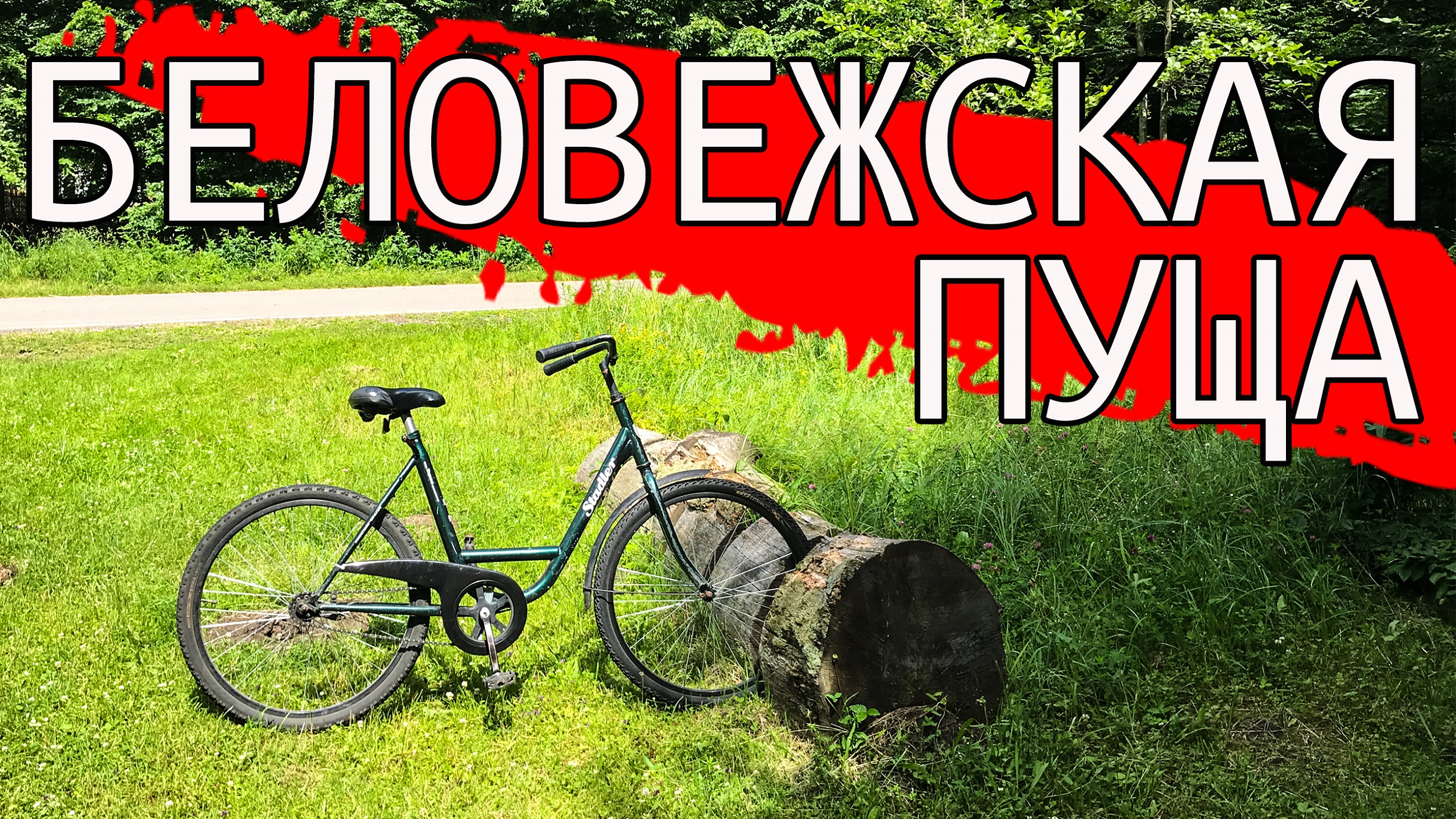 БЕЛОВЕЖСКАЯ ПУЩА. Мясо зубра, граница с Польшей и гибель СССР