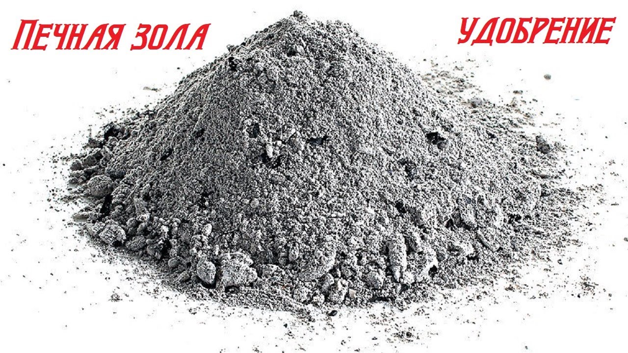 Печная зола в качестве удобрения. Подкармливаем деревья и кустарники.