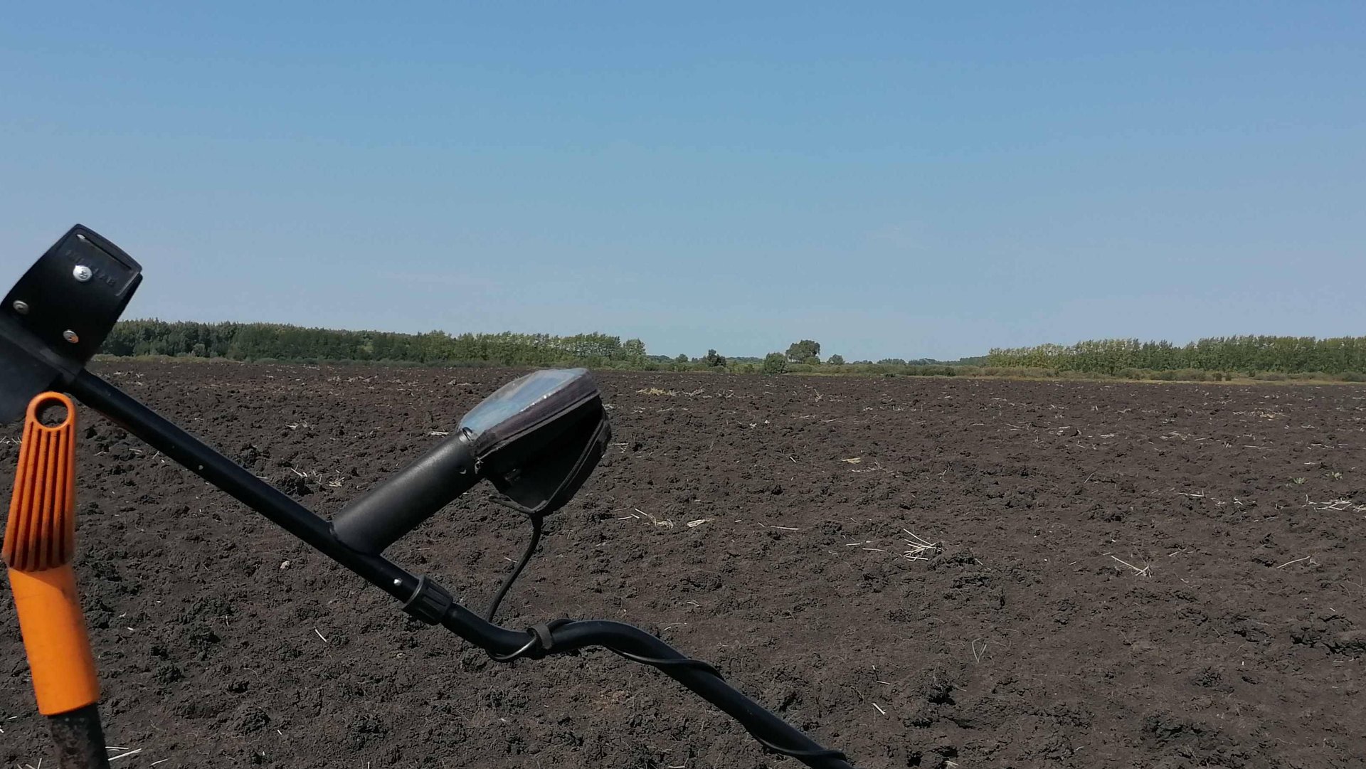 В ПОЛЯ ЗА НАХОДКАМИ.