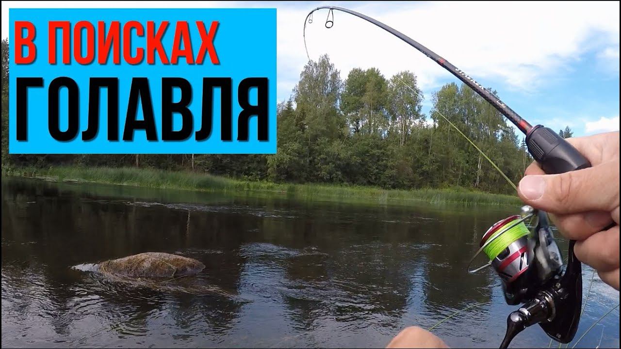 В поисках ГОЛАВЛЯ, август 2021 | Рыбалка на спиннинг.