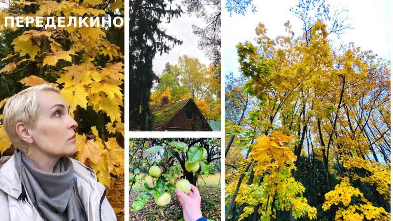 ПЕРЕДЕЛКИНО ОСЕНЬЮ