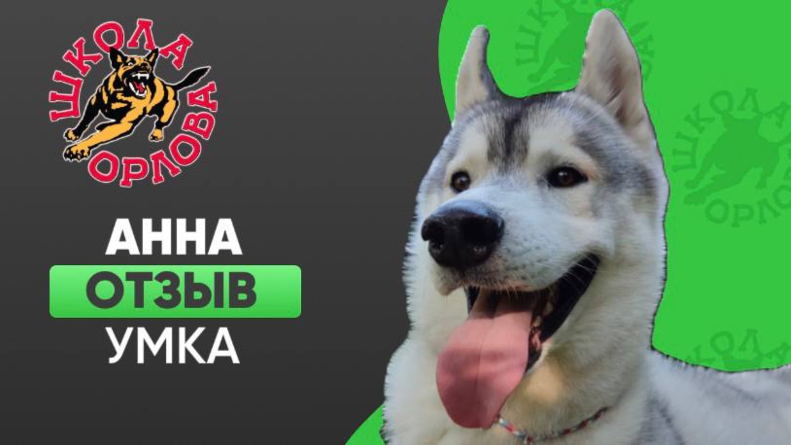 Сибирский хаски. Как воспитать?