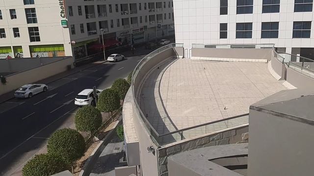 Птичка в Дубае