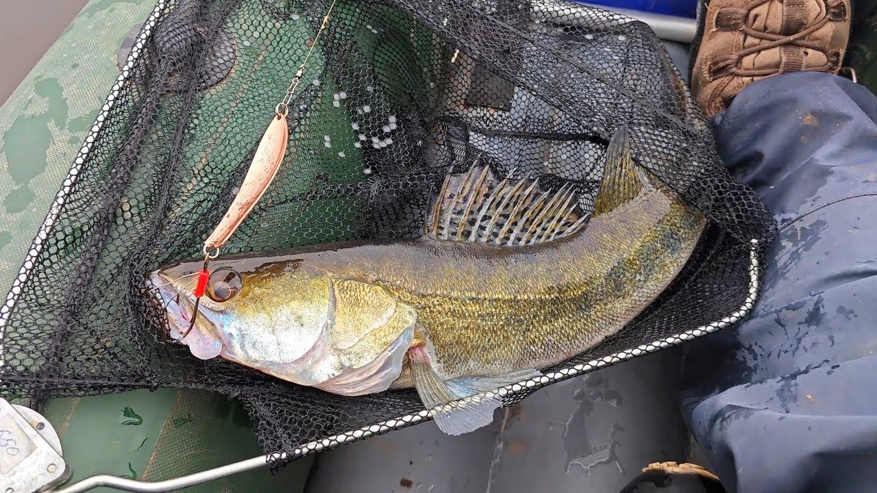 Приплыл за щукой, а поймал сома и судака. Рыбалка на спиннинг в июле на речке Ема